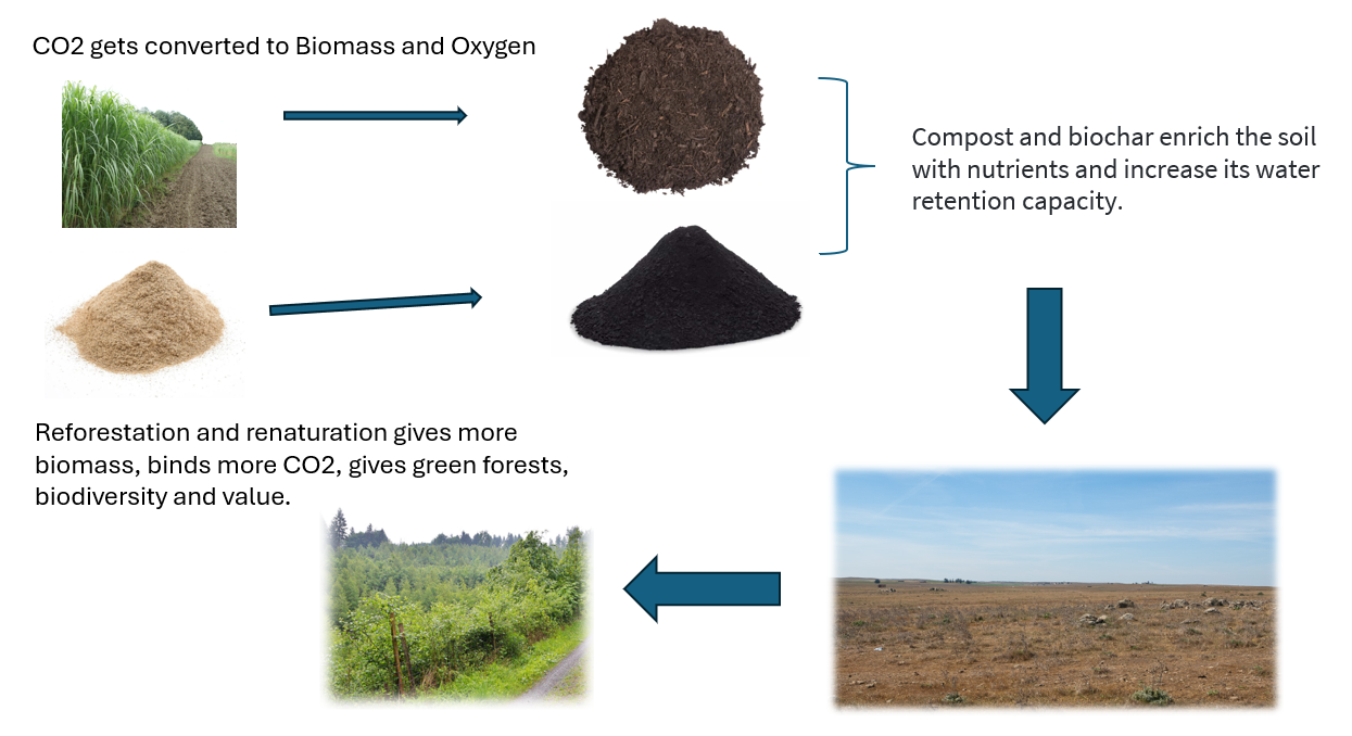 Biomass Biochar And Green Forests Rockscan Engineering And Analytics